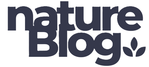 ど根性ガエルのキャラクターと名エピソードを紹介 | nature Blog